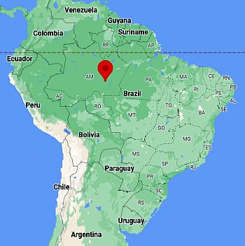 Manicoré climate: weather by month, temperature, rain - Climates to Travel